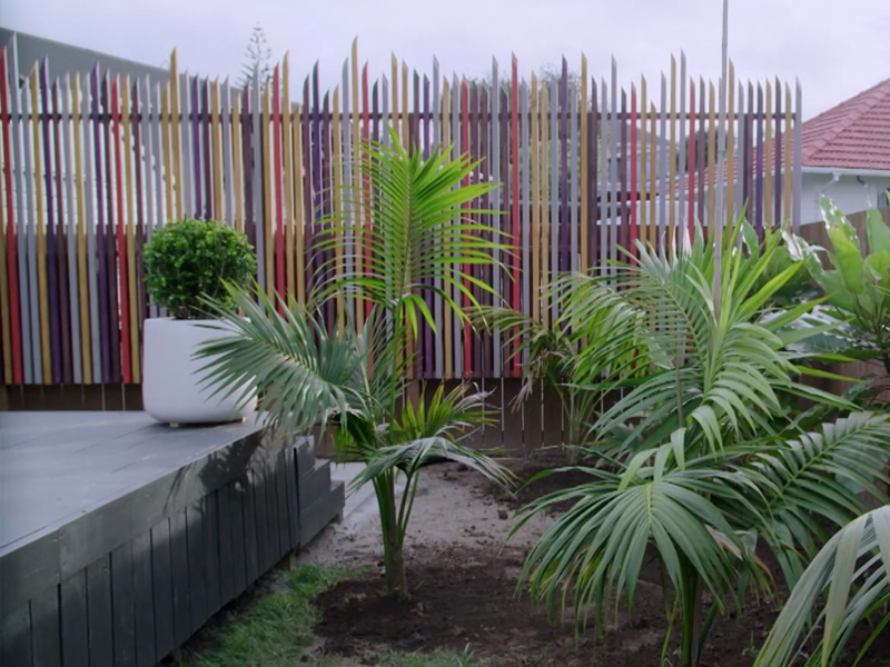 Get Growing: make a colourful privacy screen | Habitat by Resene