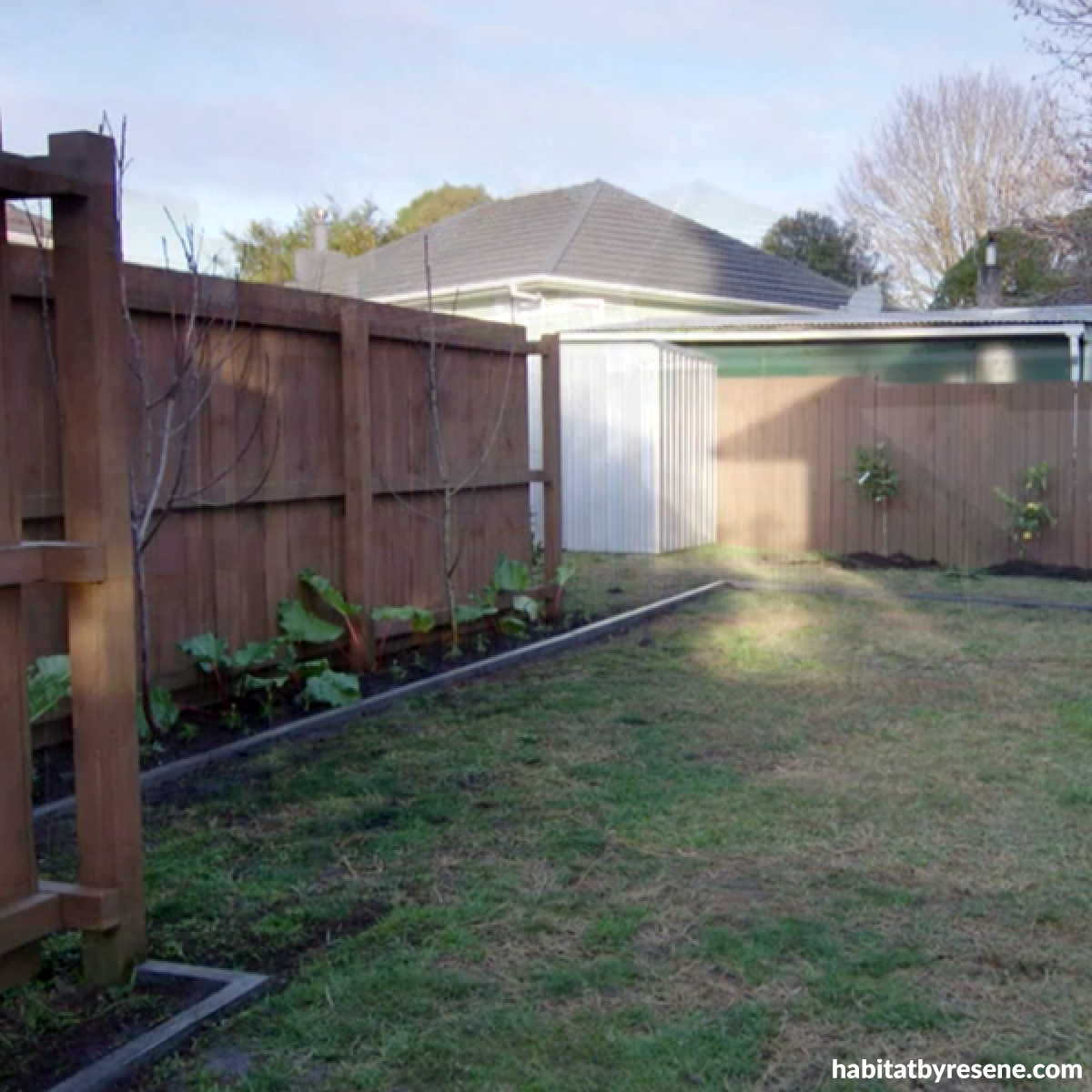 Get Growing: how to make timber edging | Habitat by Resene