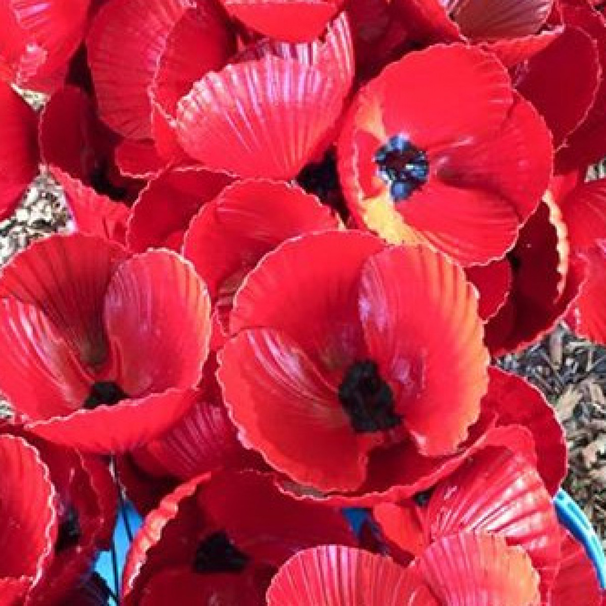 Seashell memories | Habitat by Resene