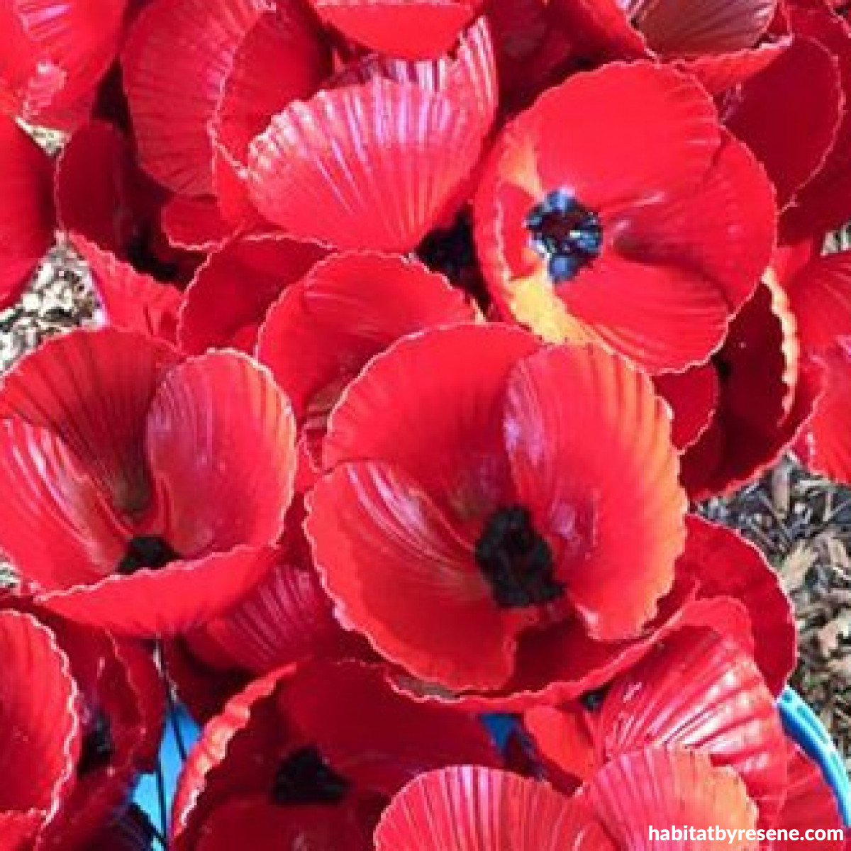 Seashell memories | Habitat by Resene