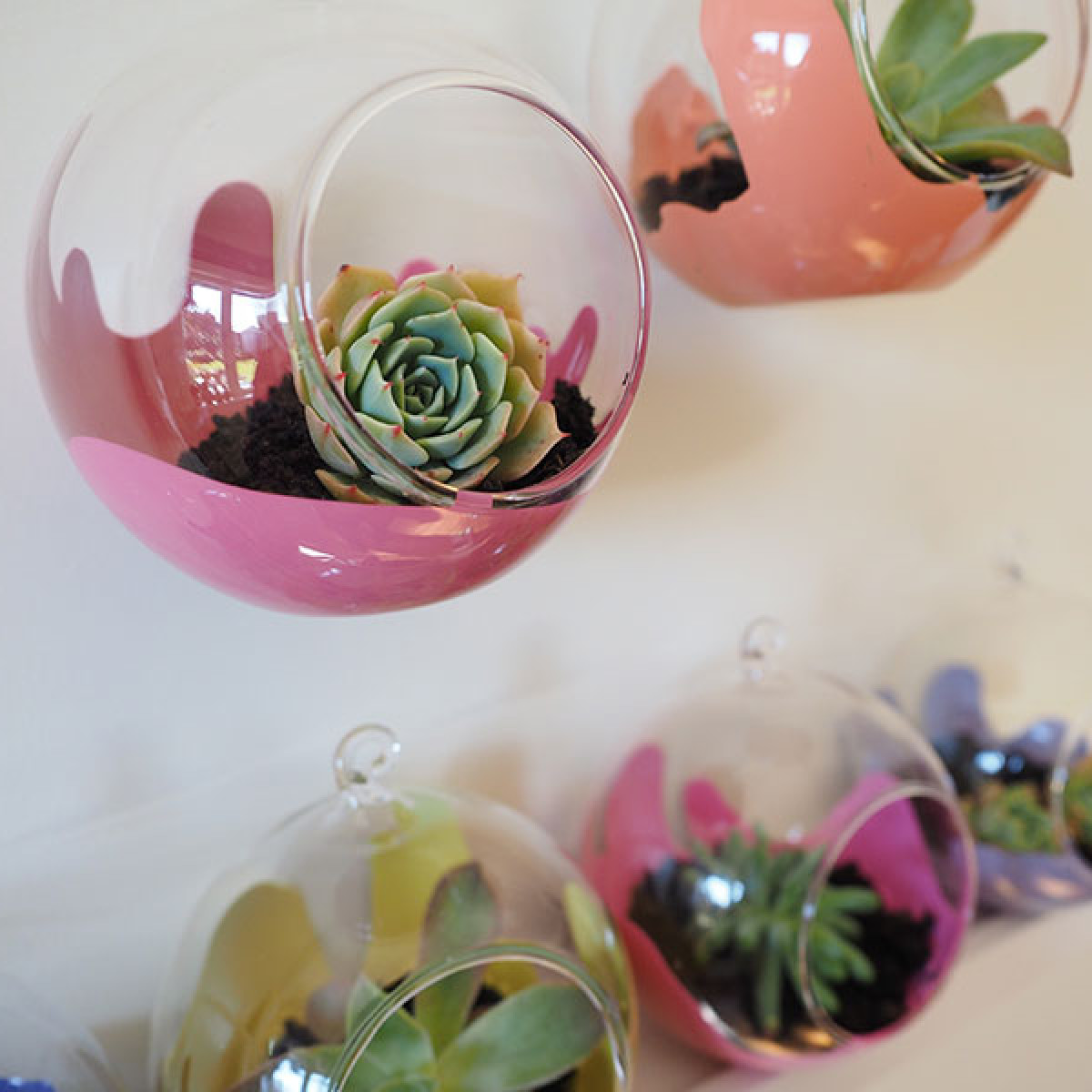 DIY painted terrariums | Habitat by Resene