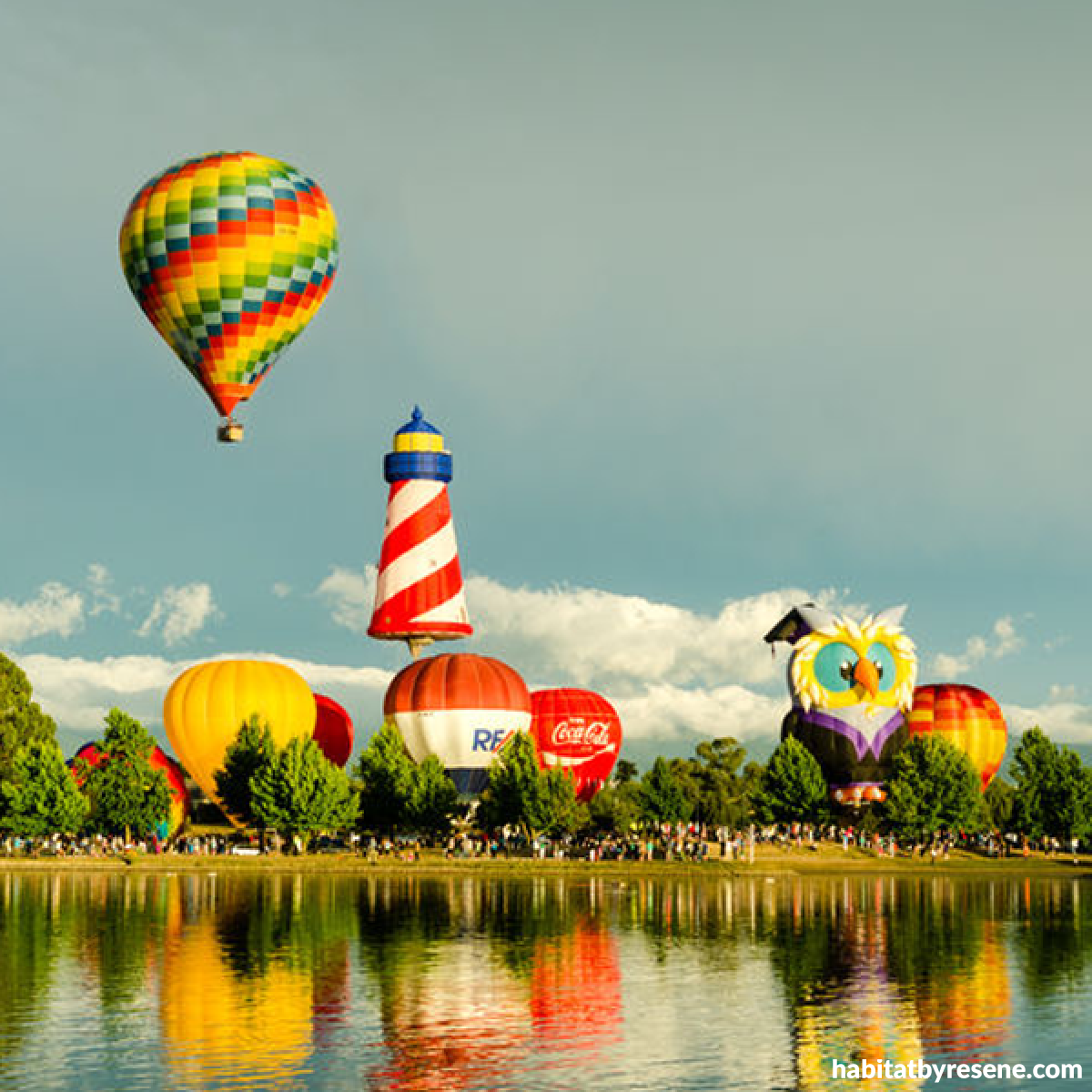 Up, up and away! | Habitat by Resene