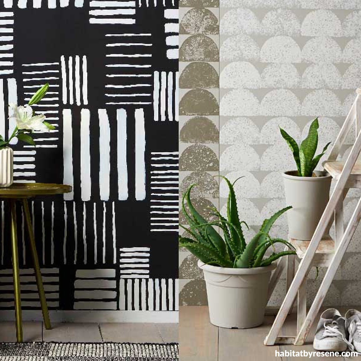 2 ways with wallpaper patterns | Habitat by Resene
