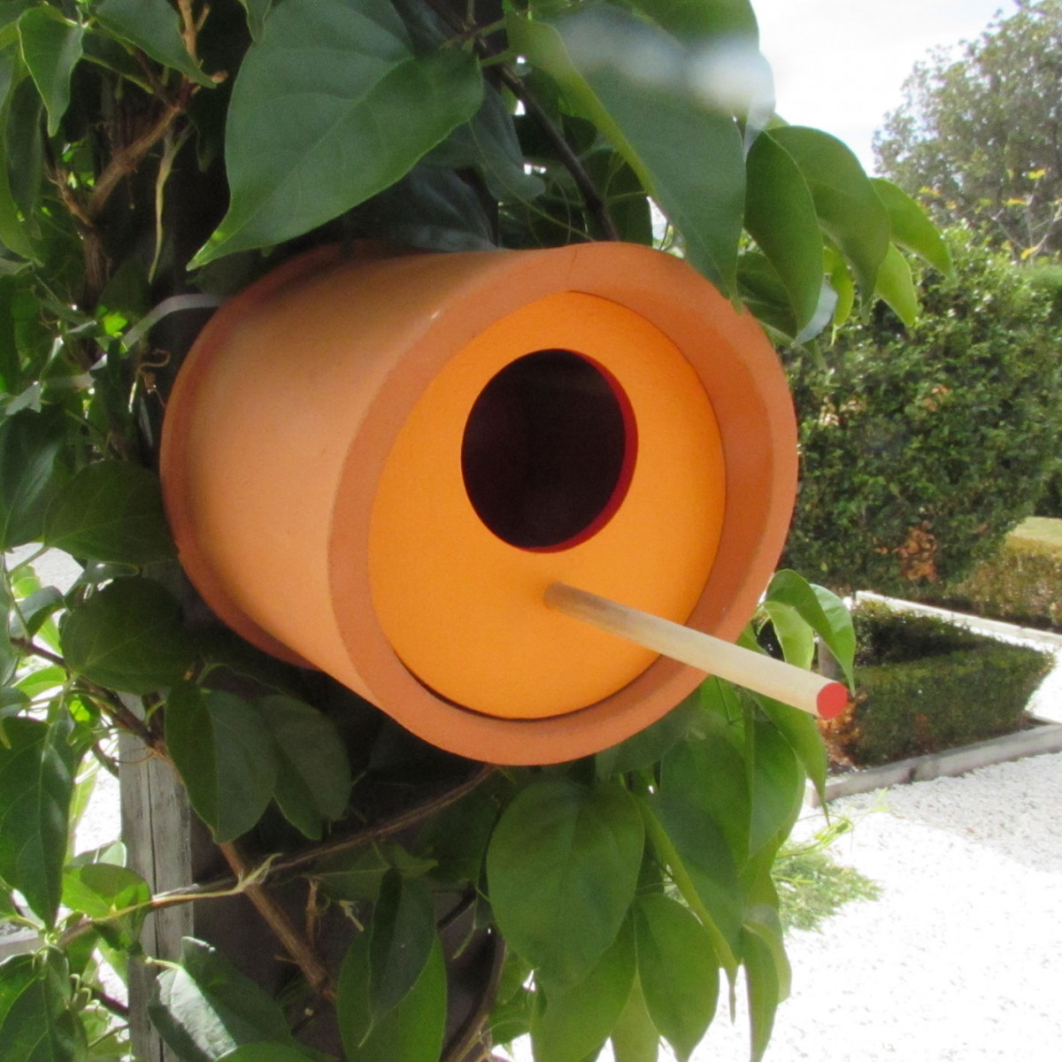 Meet the craftsman keeping native birds cosy with bespoke birdhouses ...