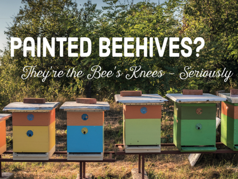 Decorate your beehives in the most bee friendly colours | Habitat by Resene