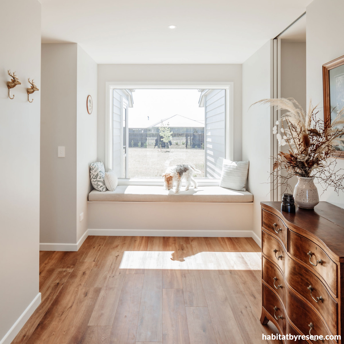 Hamptons with a country twist: This serene new build glows with touches ...