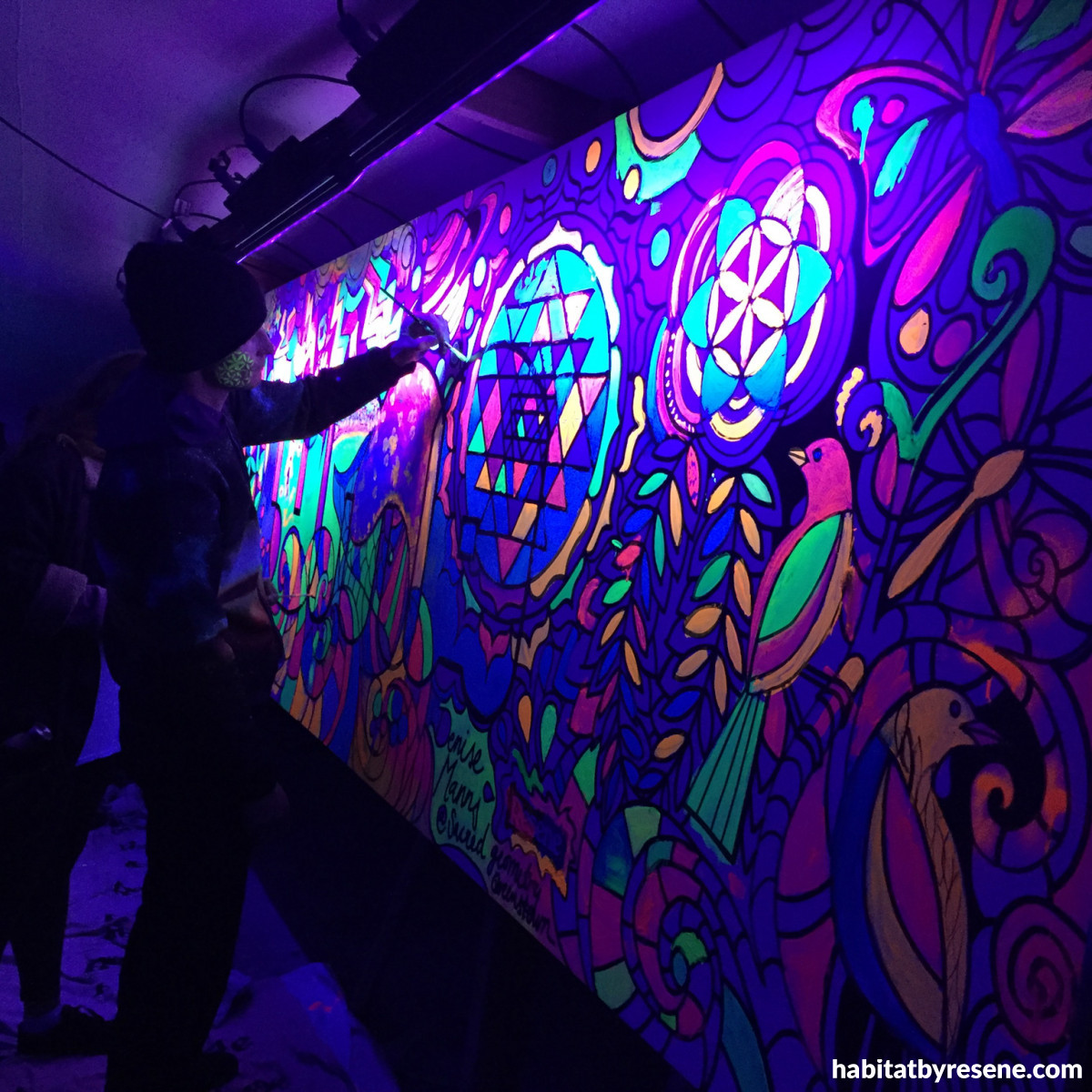Denise sets the stage for an unforgettable fluoro mural | Habitat by Resene