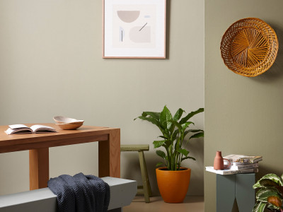 Search Results | Habitat by Resene