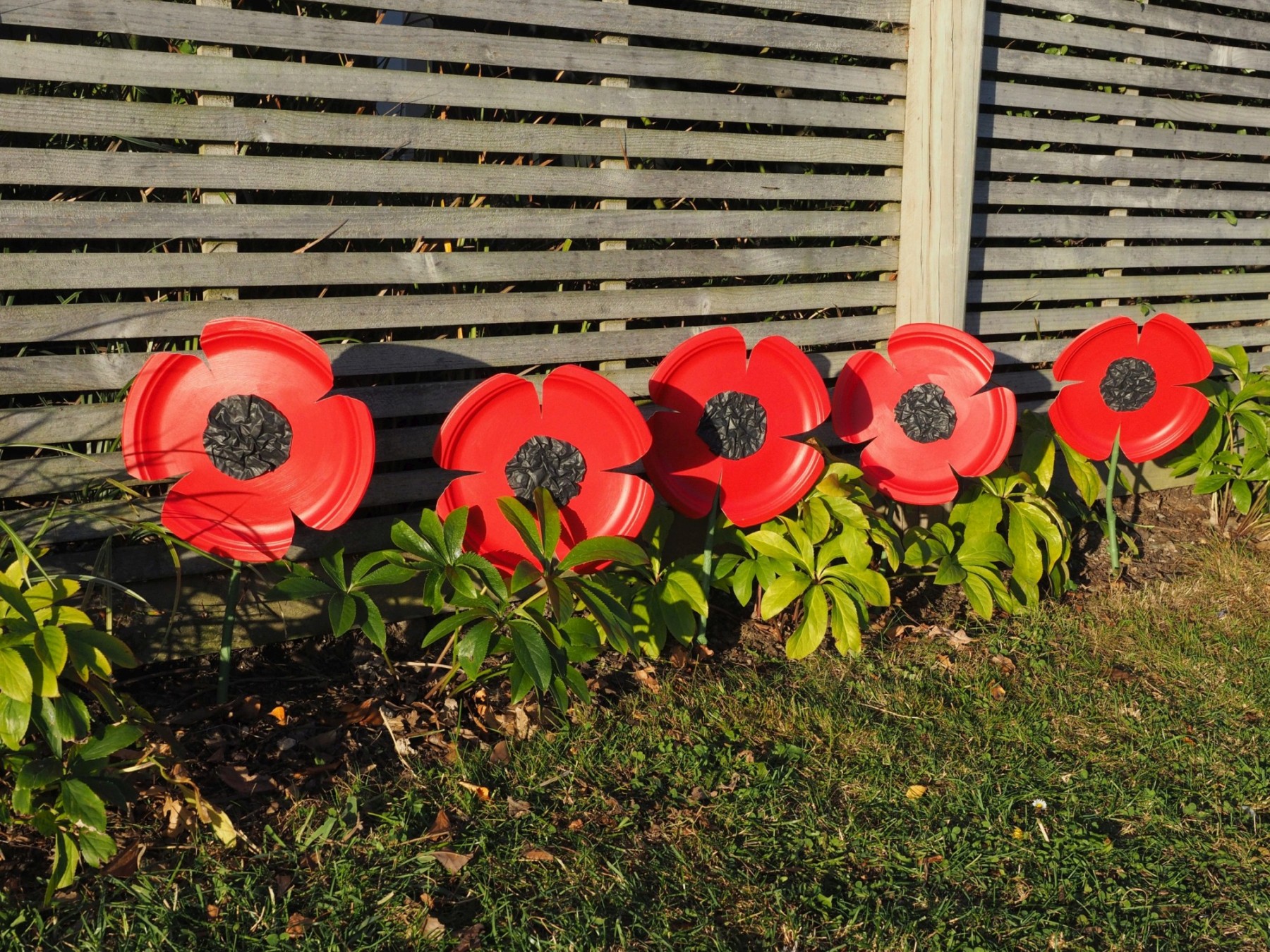 Make your own garden poppies | Habitat by Resene