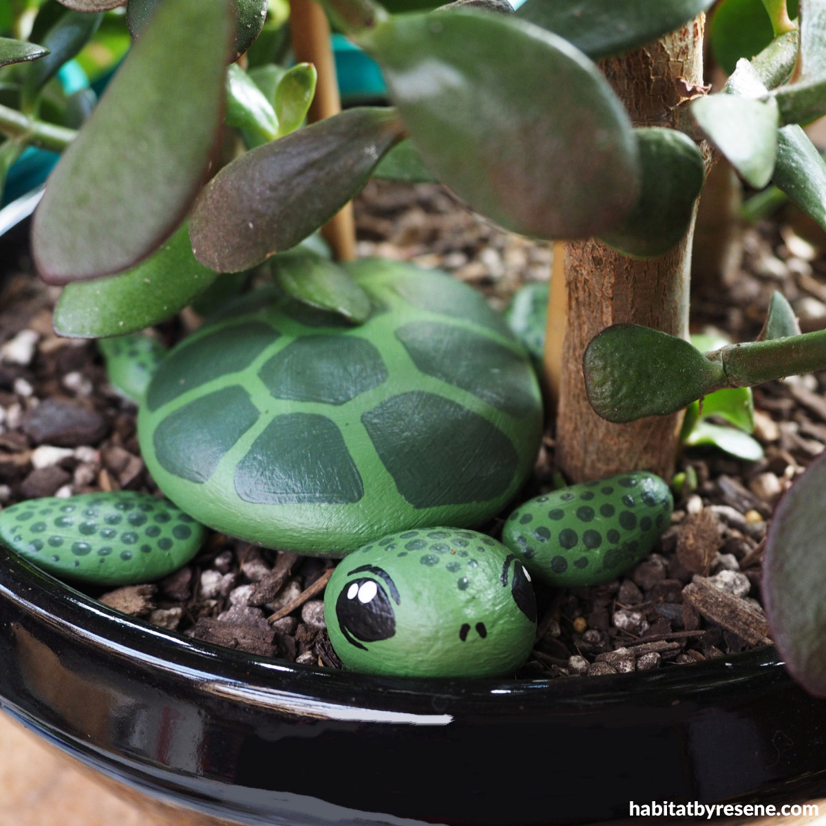 Create a cute rock turtle for your garden | Habitat by Resene
