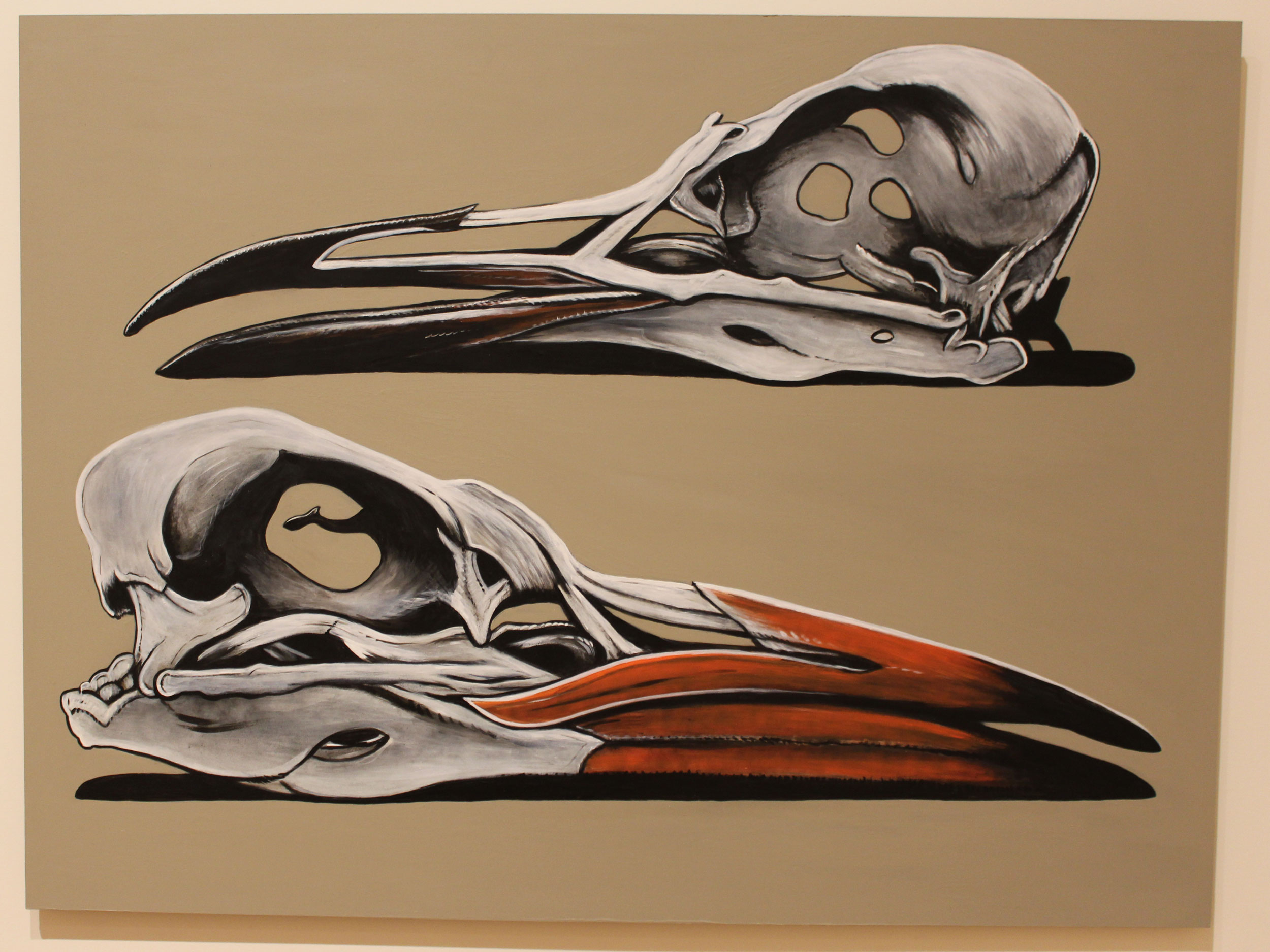 The lovely bones: Artist Bruce Mahalski’s skeletons and skulls intrigue ...