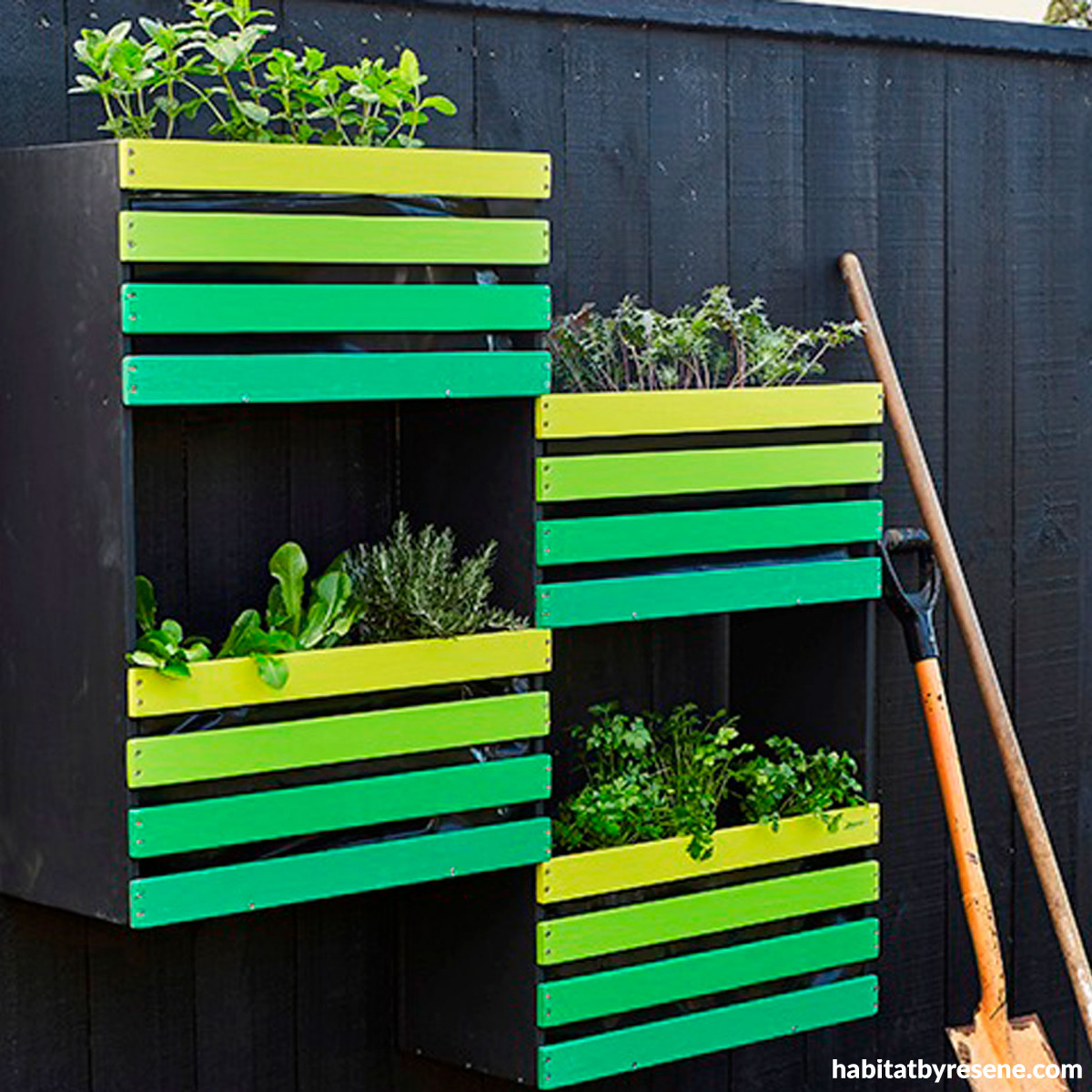 Paint it Green for June with these crafty DIY ideas | Habitat by Resene